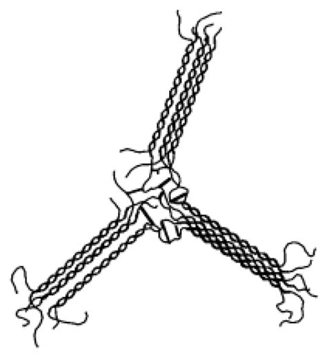 Ionotropic Gelation And Chemical Crosslinking As Methods For Fabrication Of Modified Release