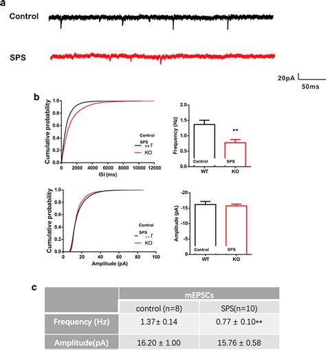 Evaluation Of Synaptic Function By Miniature Excitatory Postsynaptic
