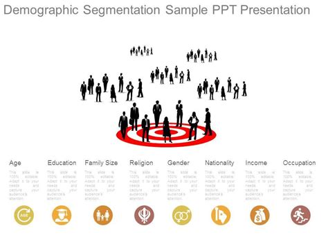 Demographic Segmentation Sample Ppt Presentation Powerpoint Templates