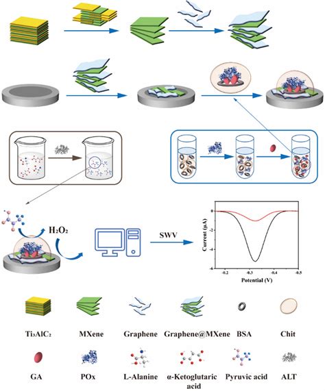 Schematic Diagram Of The Electrochemical Biosensor Based On