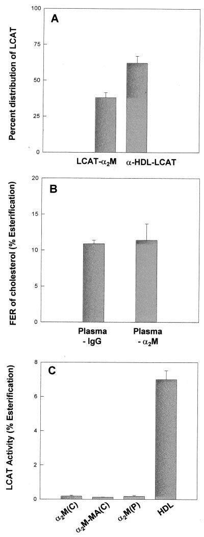 Distribution Of Plasma Lcat Within The Hdl Size Range A Cholesterol Download Scientific