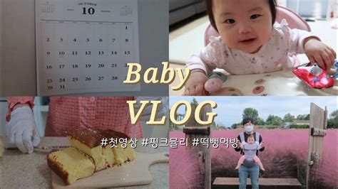 육아vlog 6개월 아기와 외출 평택 바람새마을 핑크뮬리 떡뻥먹방 Youtube