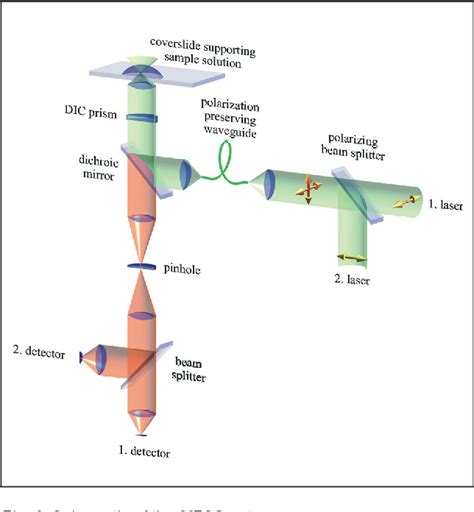Figure 1 From Dual Focus Fluorescence Correlation Spectroscopy Semantic Scholar