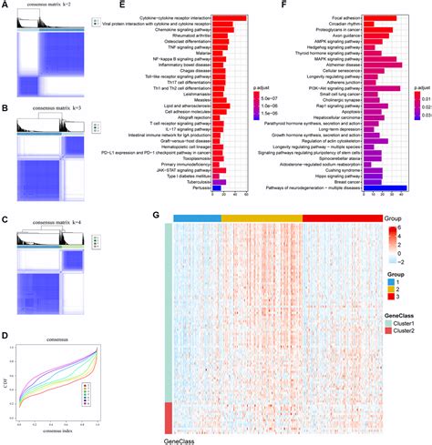 Improving Ovarian Cancer Treatment Decision Using A Novel Risk Predictive Tool Figure F2 Aging