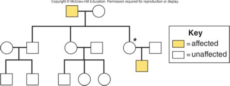 Exam 3 Chapter 24 Flashcards Quizlet