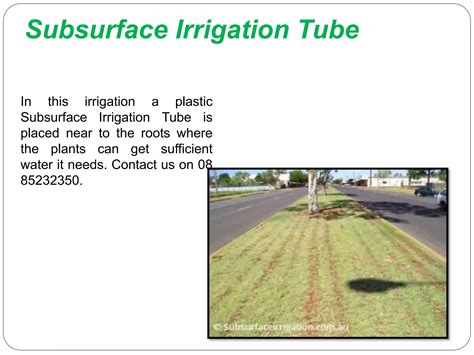 Domestic Subsurface Irrigation Pptx