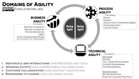 Domains Of Agility The Agile Director