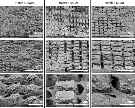 Figure 6 From Bone Laser Patterning To Decipher Cell Organization Semantic Scholar
