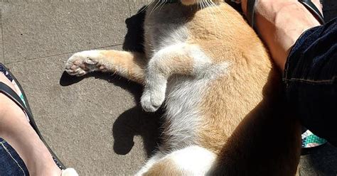 Not Bug Album On Imgur