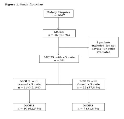 Monoclonal Gammopathy With Renal Significance And A Normal Kappa Lambda Ratio A Strange Duo