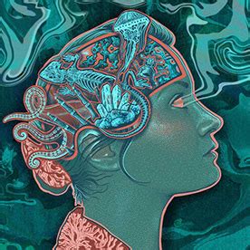 5 Stages Of Natural Human Decomposition On Behance