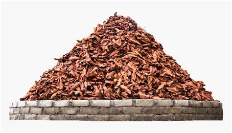 Rahul Modak Fire Altar Tree Hd Png Download Kindpng