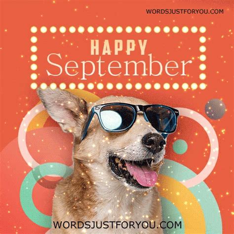 Happy September  Original Creative Animated S