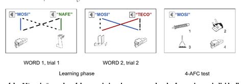 Figure 1 From Cross Situational Word Learning In Aphasia Semantic Scholar