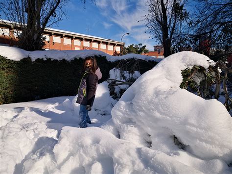 Blog De Una Madre Desesperada Misión Polar Encontrar Nieve Blanda Y Limpia