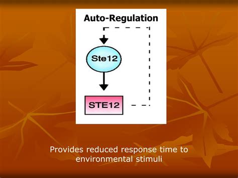 Ppt Location Analysis Of Transcription Factor Binding Sites