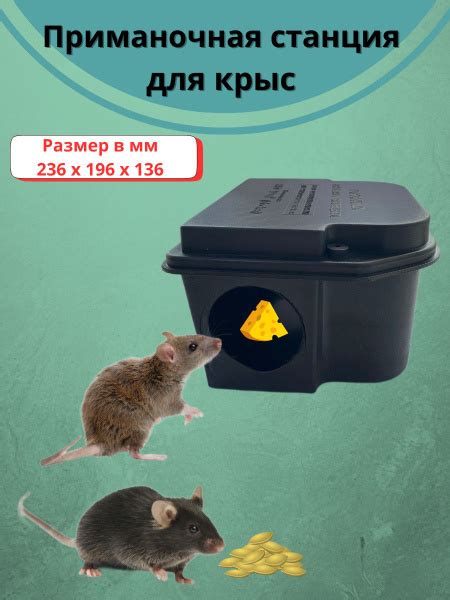 Приманочная станция для крыс, Контейнер-К - купить с доставкой по ...