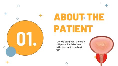 Urología Plantilla PowerPoint Temas PPT y Google Slides