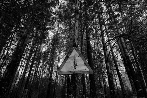 область. on Behance