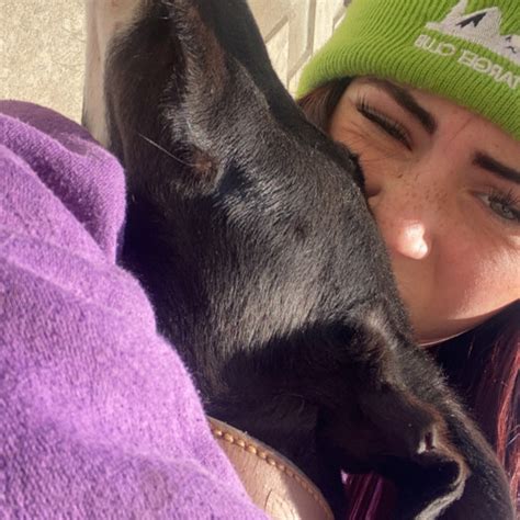 Stream Ciarrai Music Listen To Songs Albums Playlists For Free On Soundcloud