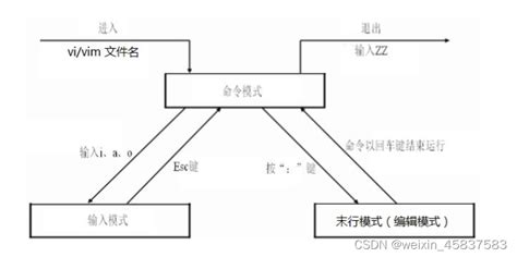 Vivim编辑器:linux终端中的文本与代码处理神器 Csdn博客 Vivim编辑器:linux终端中的文本与代码处理神器 Csdn博客