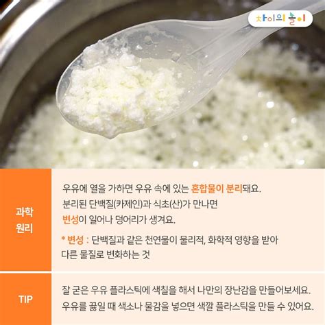 탐구력을 키우는 과학 놀이 ④ 우유의 변신 우유로 플라스틱 만들기 차이의 놀이