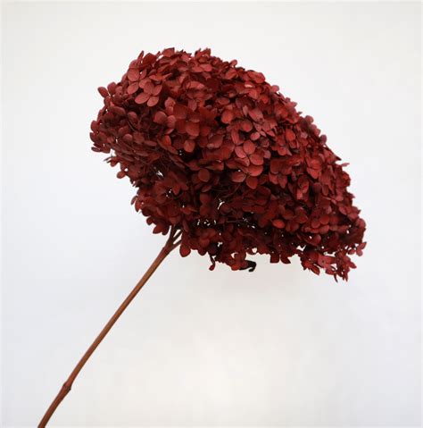 Hydrangea Floral Forest Wholesale