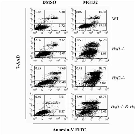 Fig S1 Representative Flow Cytometry Analysis Of Cellular Apoptosis