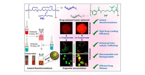 Feasibility Of Coacervate Like Nanostructure For Instant Drug Nanoformulation Hirak Patra