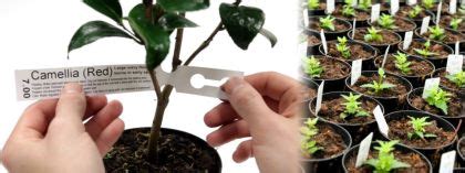 Printed Plant Tags Nursery Tree Tags And Pot Stakes