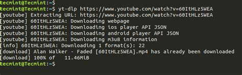 How To Download Youtube Videos In Linux Using Yt Dlp Hosting Mate