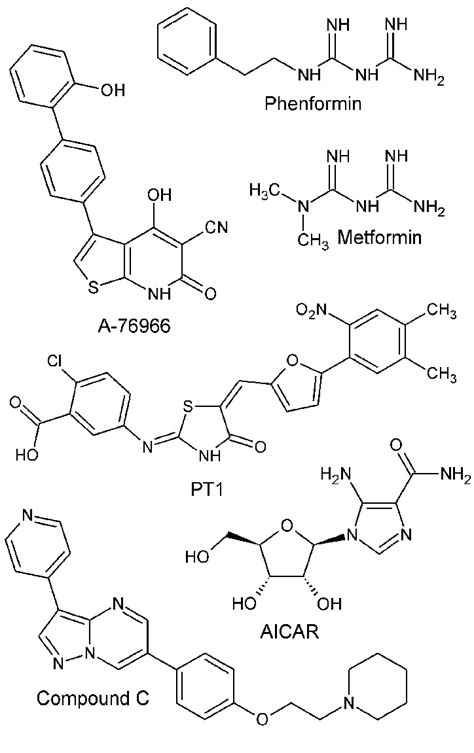 structures of the besttknown ampk modulators metformin and phenformin