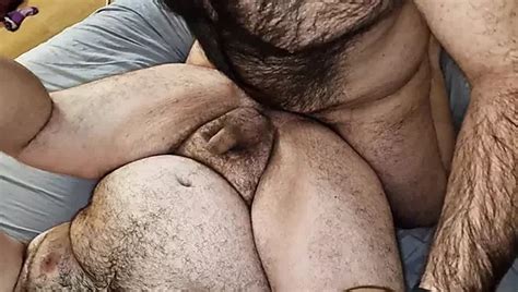 Zwei Behaarte Bären Besamen Xhamster