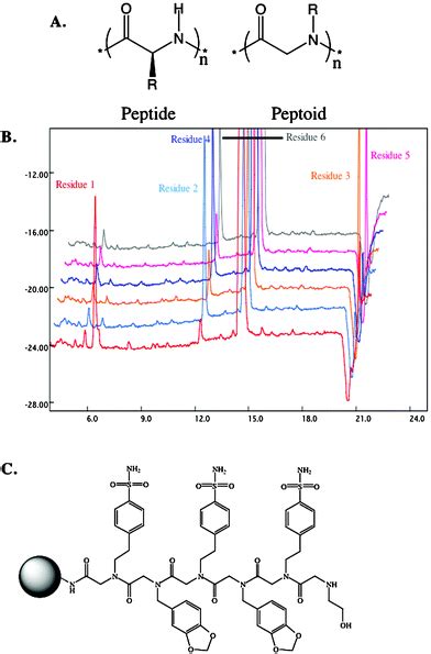 Optimized Protocols For The Isolation Of Specific Protein Binding Peptides Or Peptoids From