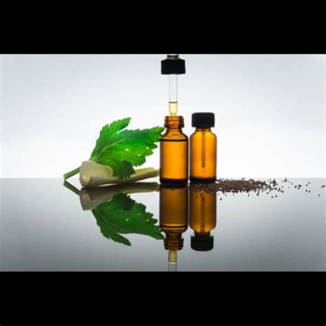 Celery Seed Essential Oil At Rs 5000 Kg Celery Seed Oil In Surat Id 2852837632948