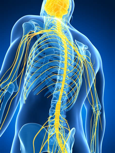 Nerve Injury Paralysis Center