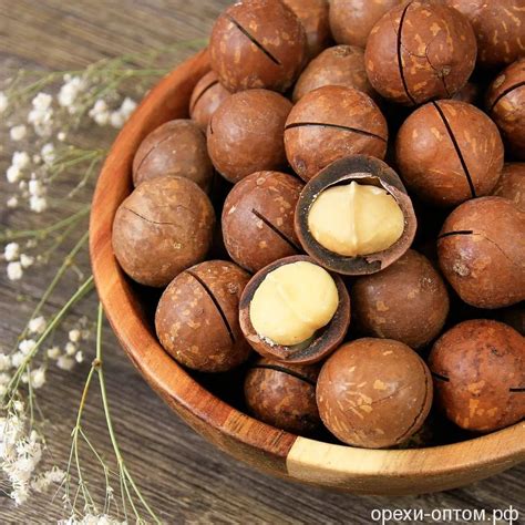 Макадамия орехи купить в СПб дешево Орехи макадамия цена за 1 кг купить в СПб