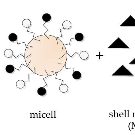 The Principle Of In Situ Polymerization Method Download Scientific Diagram