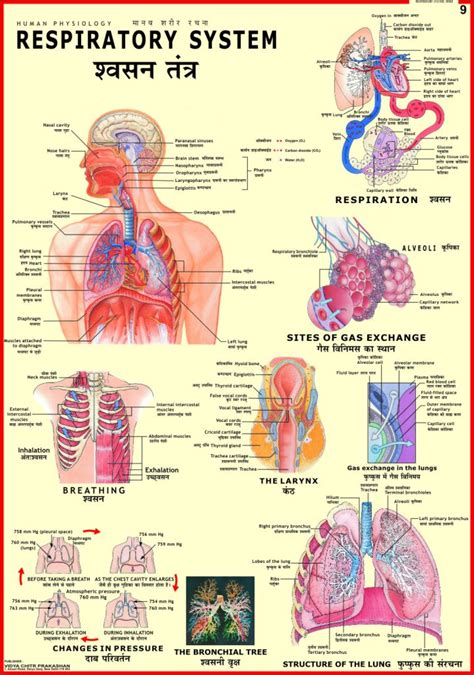 Electric Shock And Its Treatment Chart Electric Shock Vidya Chitr Prakashan Vcp