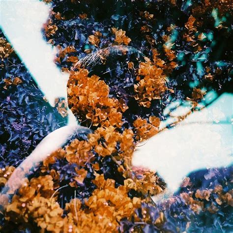 Flower Girl Photograph By Julia Holcomb Fine Art America