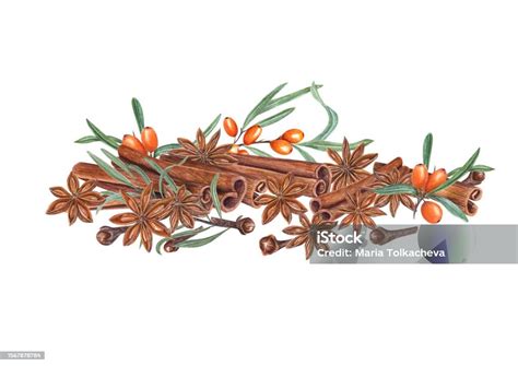 계피 스타 아니스 정향 바다 갈매 나무속의 수채화 구성 흰색 배경에 분리된 그림입니다 초대장 카드 패키지 디자인 광고 포스터 라벨 디자인 세트 아니스에 대한 스톡 벡터 아트