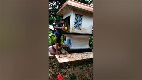 පින් පතා පිළිසකර කෙරුවෙමි බුදු මැදුර මගෙ පාසලේ 🙏🙏🙏🙏🙏🙏🙏🙏🙏🙏🙏🙏 Youtube