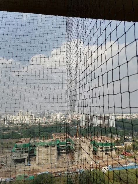 Bird Netting For Buildings At ₹ 15sq Ft Bird Net In Ahmedabad Id