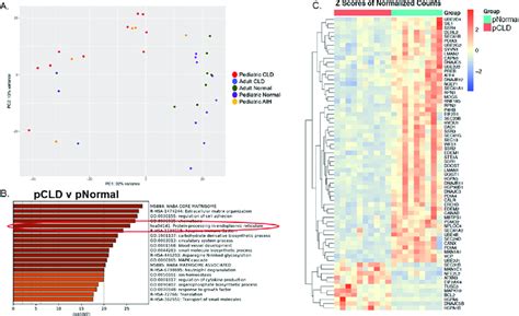 Principal Component Analysis Pca And Metascape Pathway Analysis Of