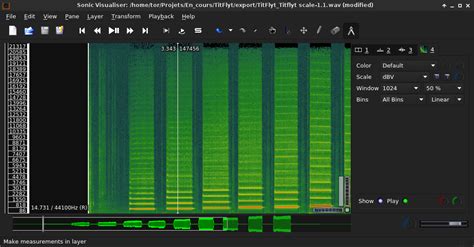 Sonic Visualiser Export Spectrogram Bastaskins