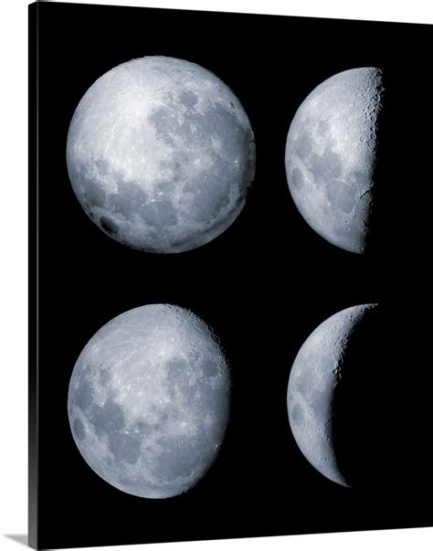 Four Phases Of The Moon Wall Art Canvas Prints Framed Prints Wall