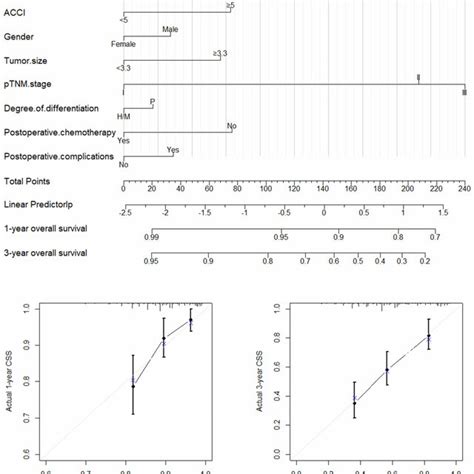 Nomogram Plot And Calibration Curves Of The 1−year And 3−year Css