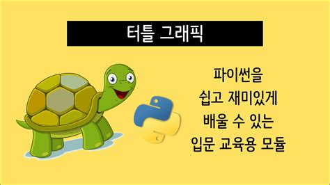 [예제로 배우는 파이썬] 20가지 터틀 프로젝트 1 2편 통합 패키지 로드맵 인프런