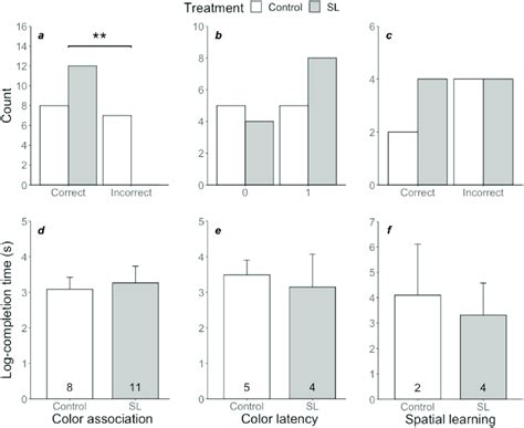 Executive Function Task Scores And Completion Times Individual