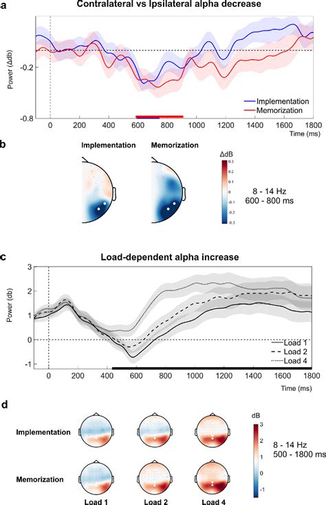 Figure 3 From Neural Oscillations Track The Maintenance And